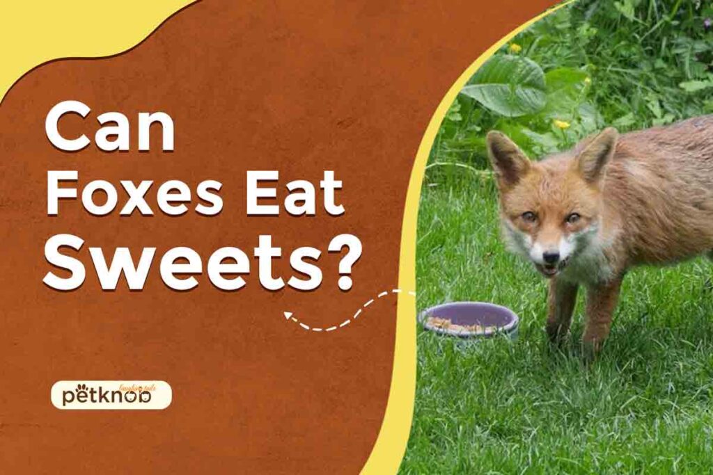 Do Foxes Eat Mice & Rats? (Pros + How to Hunt) 2023